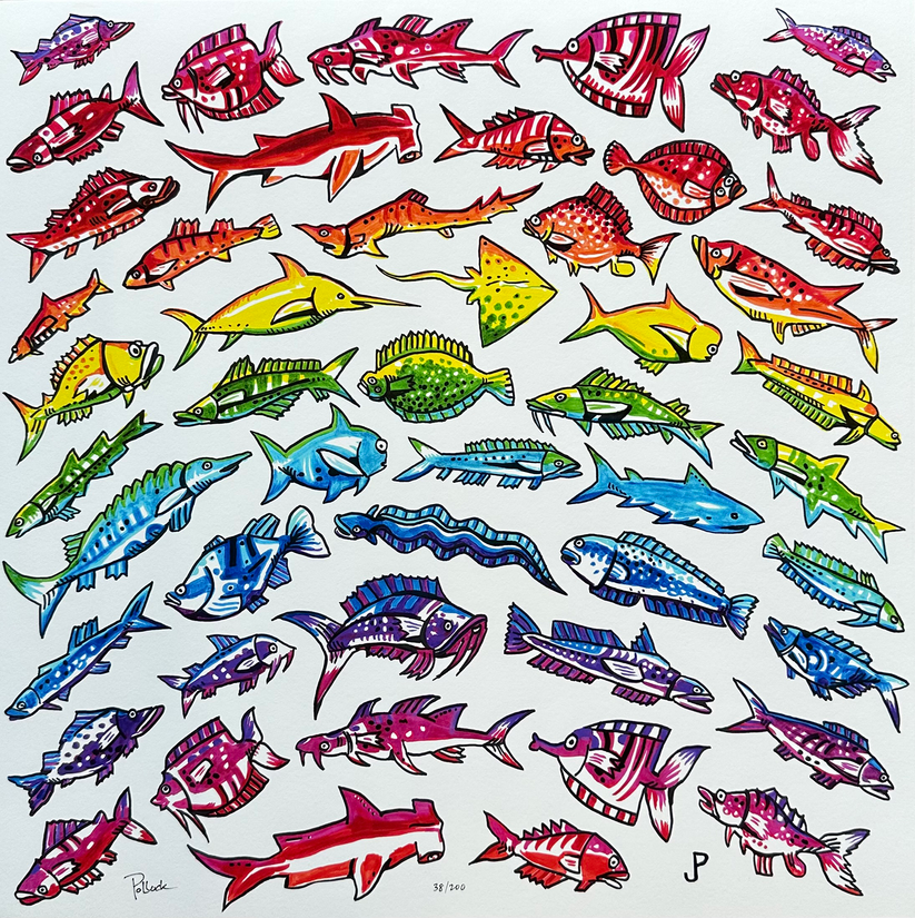 Jim Pollock "Fish Rainbow" – Bottleneck Gallery